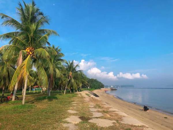 Condo for rent Pasir Ris Central (Pasir Ris), Singapore - Rental at ...